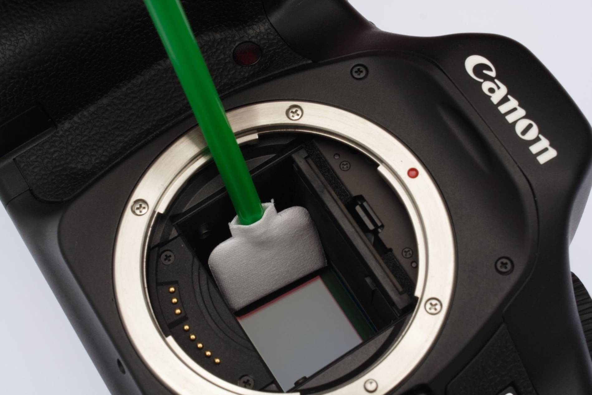 Tips from the Pros - Which Camera Gear? // Photography Tips — Alpine ...